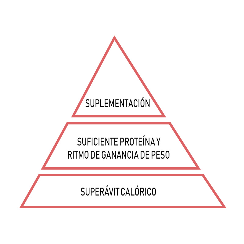 Cómo GANAR MASA MUSCULAR (Guía Completa) 🥇- AB Workout